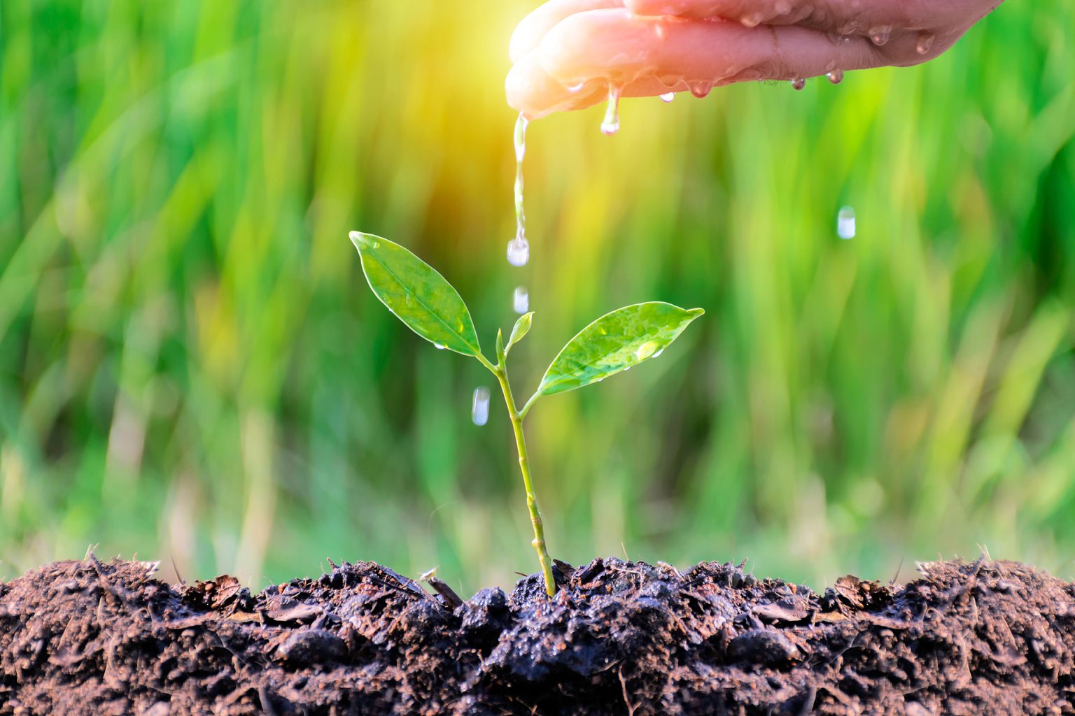 Luke Alexander USA – Clean agent fire suppression designed for the future